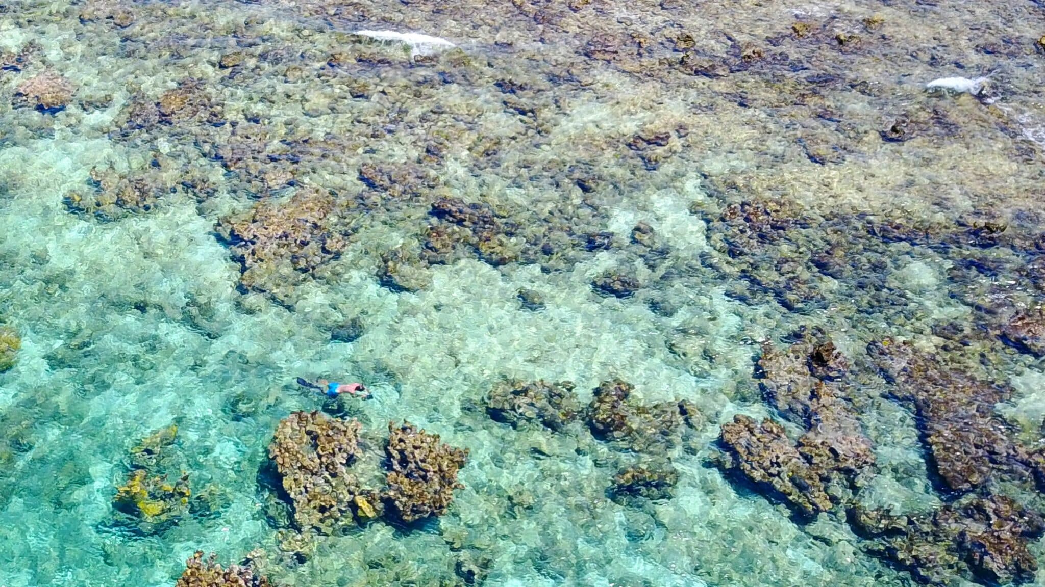 Exploring French Cay in Turks and Caicos