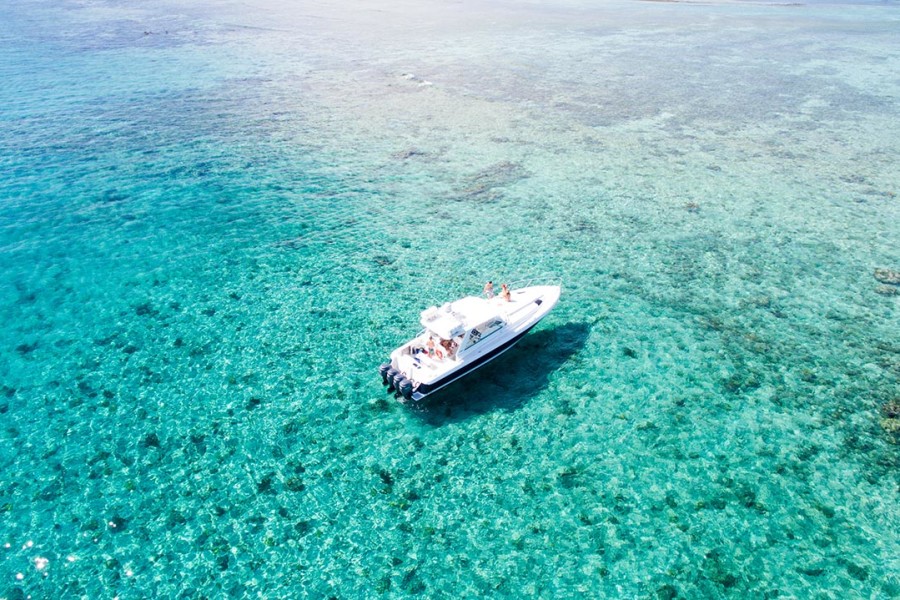 Exploring French Cay - Panoply Turks & Caicos