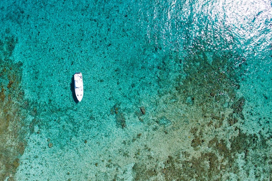 Exploring French Cay - Panoply Turks & Caicos