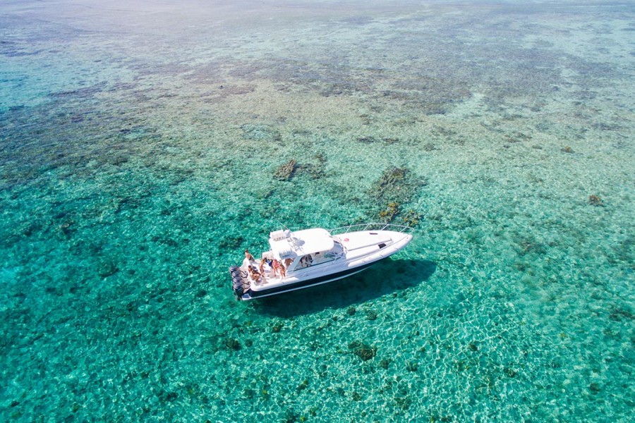 Exploring French Cay - Panoply Turks & Caicos