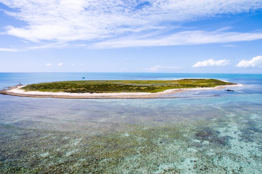 Exploring French Cay - Panoply Turks & Caicos