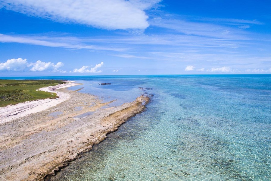 Exploring French Cay - Panoply Turks & Caicos