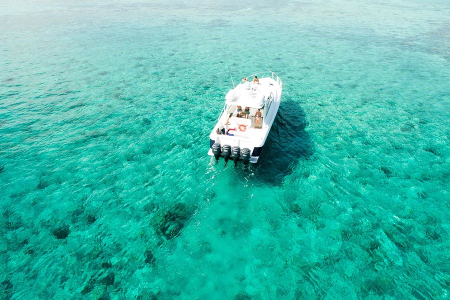 Exploring French Cay - Panoply Turks & Caicos