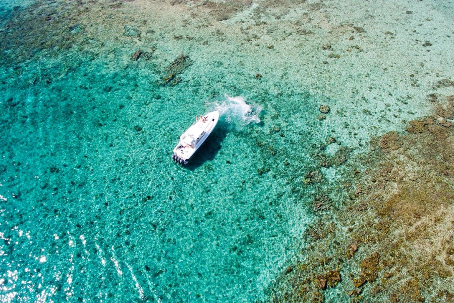 Exploring French Cay - Panoply Turks & Caicos